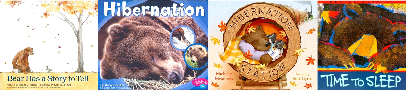 Hibernation! – storytime katie